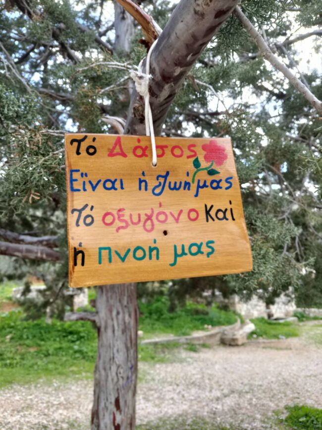 Εκδρομή στη φύση για το Νηπιαγωγείο μας - Εκπαιδευτήρια Γεωργίου Ζώη